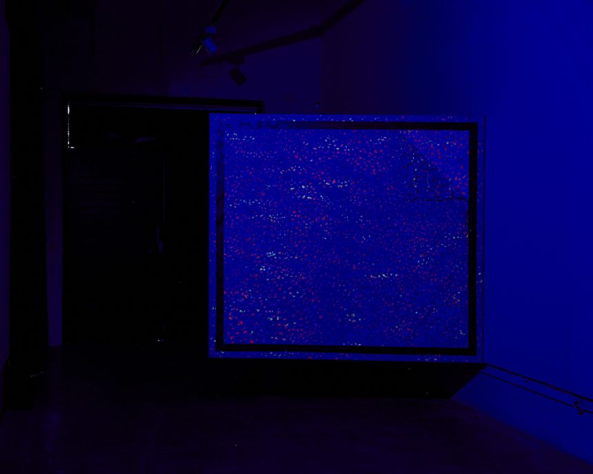 Susan Connolly – QSS Studios & Gallery