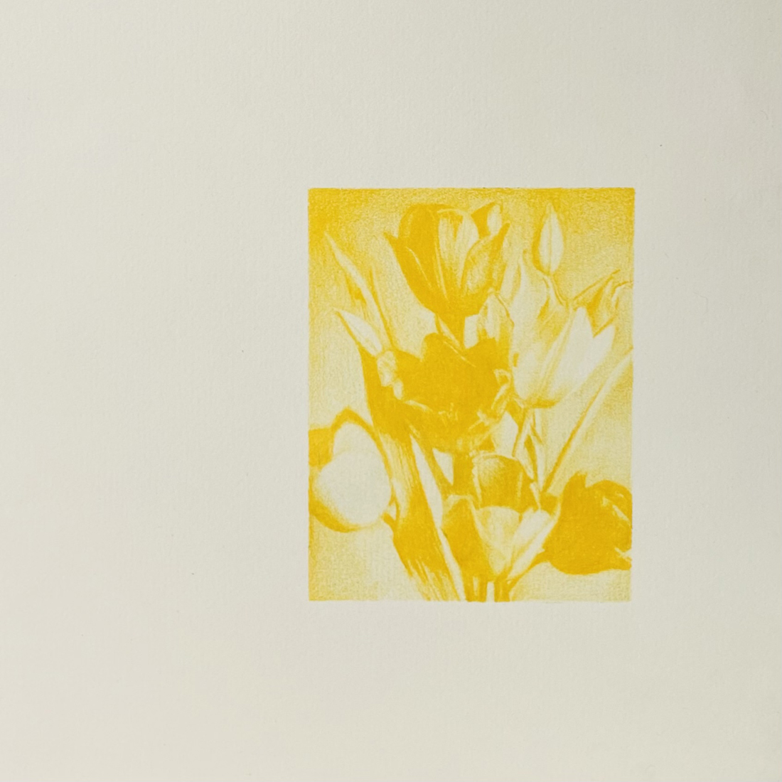 Niamh Clarke – QSS Studios & Gallery